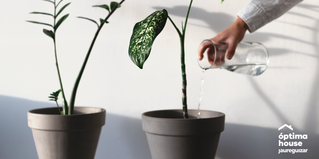 Óptima House: viviendas confortables y eficientes - Jaureguizar